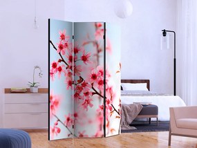 Pokojová zástěna Symbol Japonska - sakura (3-dílný) - květiny třešní na pozadí nebe