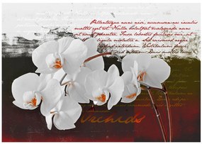 Fototapeta - Diary and orchid