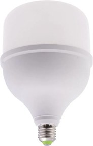 T-LED LED žárovka 45W E27 Barva světla: Denní bílá 032805