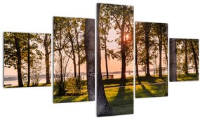 Obraz stromů u jezera (125x70 cm)