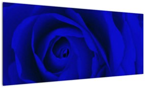 Detail modré růže - obraz (100x40cm)