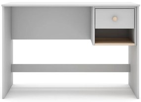 Dětský psací stůl 55x110 cm Esteban – Marckeric