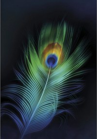 Obraz na plátně Peacock Eye
