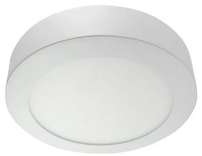 Baterie Centrum | LED Stropní svítidlo LED/24W/230V 4200K | BC0050