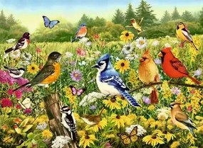 Ravensburger Ptačí louka / 500 dílků / od 12 let