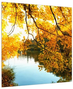 Podzimní obraz stromu (50x50 cm)