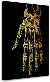 Gario Obraz na plátně Zlatá anatomie, ruka - Gab Fernando Rozměry: 40 x 60 cm