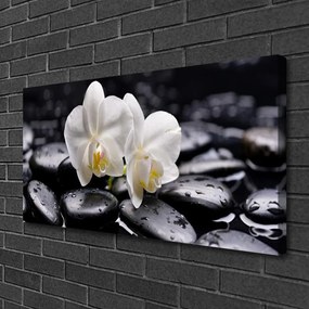 Obraz na plátně Kameny Zen Bílá Orchidej 120x60 cm