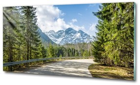 Wallmuralia Foto obraz fotografie na skle Cesta Tatry 100x50