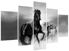 Obraz koně (150x105 cm)