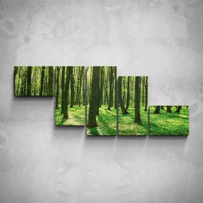 5-dílný obraz - Zelený les - PopyDesign