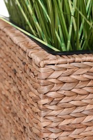 Květináč ASIA, vodní hyacint, výška 50 cm, natur