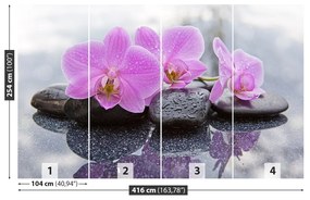 Fototapeta Orchidejové kameny 104x70