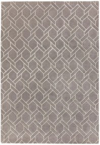 Šedý  koberec Rapun Fine Silver Rozměry: 160x230 cm