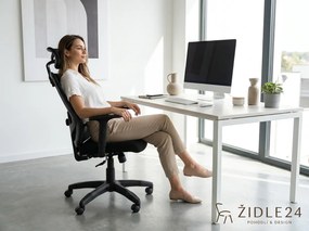 Ergonomická kancelářská židle ORVIN - černá síťovina