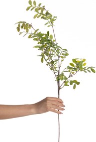 Větvička Green Twig100 cm