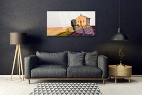 Obraz na skle Pole Krajina 100x50 cm