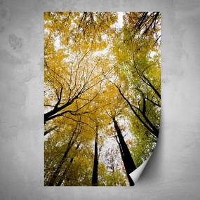 Plakát - Koruny stromů (80x120 cm) - PopyDesign