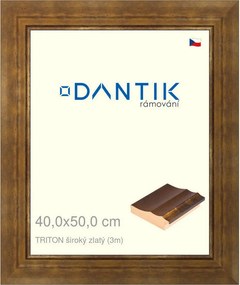 DANTIK rámeček 40x50 | TRITON široký zlatý (Sklo Čiré)