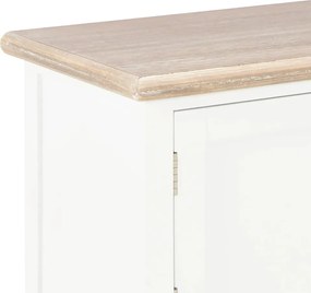 vidaXL TV stolek 120 x 30 x 40 cm dřevo [249889] Barva: Bílo-hnědá