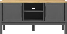 vidaXL TV stolek FLORO 114 x 43 x 55 cm masivní borové dřevo [374016] Barva: Šedá