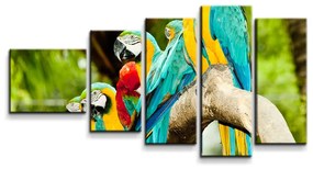 Sablio Obraz - 5-dílný Papoušci na větvi - 100x60 cm