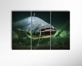 Malvis ® Obraz Sumec pod vodou ROZMĚR (šířka x výška): třídílný obdélník 150x60 cm