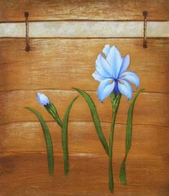 Dva modré květy - 60 x 50 cm