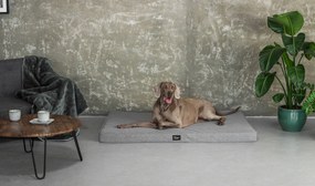 Ortopedická matrace pro psa LUI šedá Velikost: 100x80x8 cm