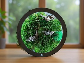 Li-Go "Mechové kopečky s kořeny" dřevěná lampa/obraz s baterií a pohybovým čidlem/černá s patinou velikost svítidla/hodin: 50 cm