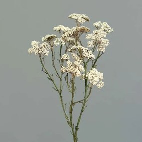 Ego Dekor Květina Kopr, krémová, 70cm
