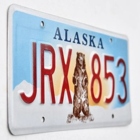 Americká SPZ Alaska Grizzly Bear JRX 853