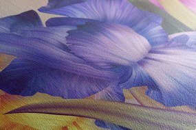 Obraz květinová fantazie Varianta: 60x40