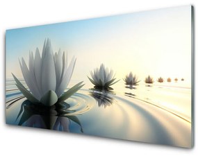 Obraz na skle Vodní Lilie Květiny Rybník 140x70 cm
