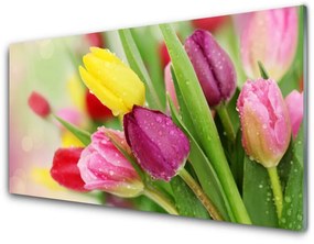 akrylový obraz Tulipány Květiny Rostlina 100x50 cm
