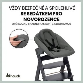 Hauck Alpha+ dřevěná židle+novorozenecký set polohovací, 0m+, Dark Gre