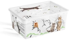 Plastový C Box s víkem S Pets Collection KOČIČKY