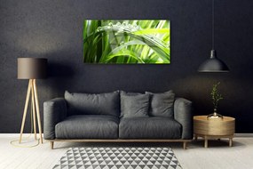 akrylový obraz Tráva Voda Kapky Příroda 100x50 cm