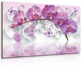 Malvis ® Obraz Růžová motýlí orchidej Velikost: 120x80 cm