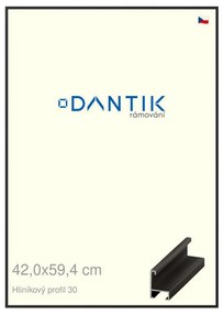 DANTIK rámeček 42x59,4 | ALU profil 6030 Černá matná (Plexi Čiré)