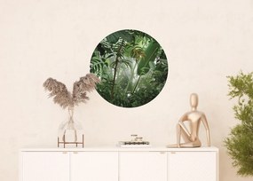 Samolepící vliesová fototapeta na zed' Dotek Tropického Listí | 70 x 70 cm | DCR3213