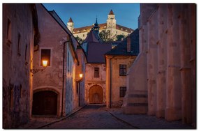 Obraz na plátně - Bratislava staré město s hradem vzadu 1265A (75x50 cm)