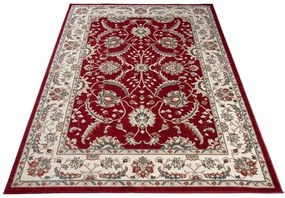 Luxusní kusový koberec Dubi DB0120 - 250x350 cm