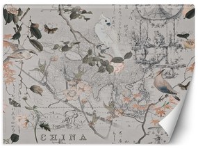 Gario Fototapeta Vintage mapa a ptáci - Andrea Haase Materiál: Vliesová, Rozměry: 200 x 140 cm