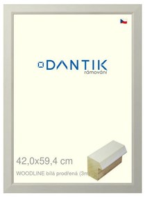 DANTIK rámeček 42x59,4 | WOODLINE bílá prodřená (Plexi Čiré)