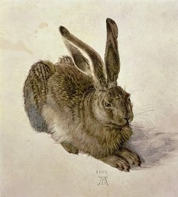 Albrecht Dürer - Obrazová reprodukce Hare, 1502, (35 x 40 cm)