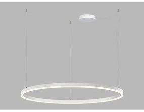 LED2 - LED Stmívatelný lustr na lanku CIRCLE 80W/230V 3000K/4000K pr. 100cm bílá