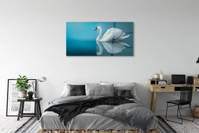 akrylový obraz Swan ve vodě 125x50 cm