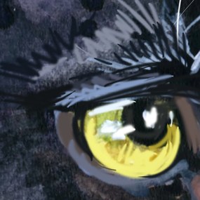 Malvis ® Tapeta Obraz Černý jaguár Vel. (šířka x výška): 432 x 290 cm