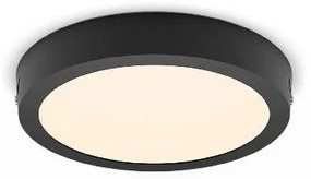 Philips Osvětlení - LED svítidlo, průměr 21 cm, 2700 K, 12 W, černá 929002661131